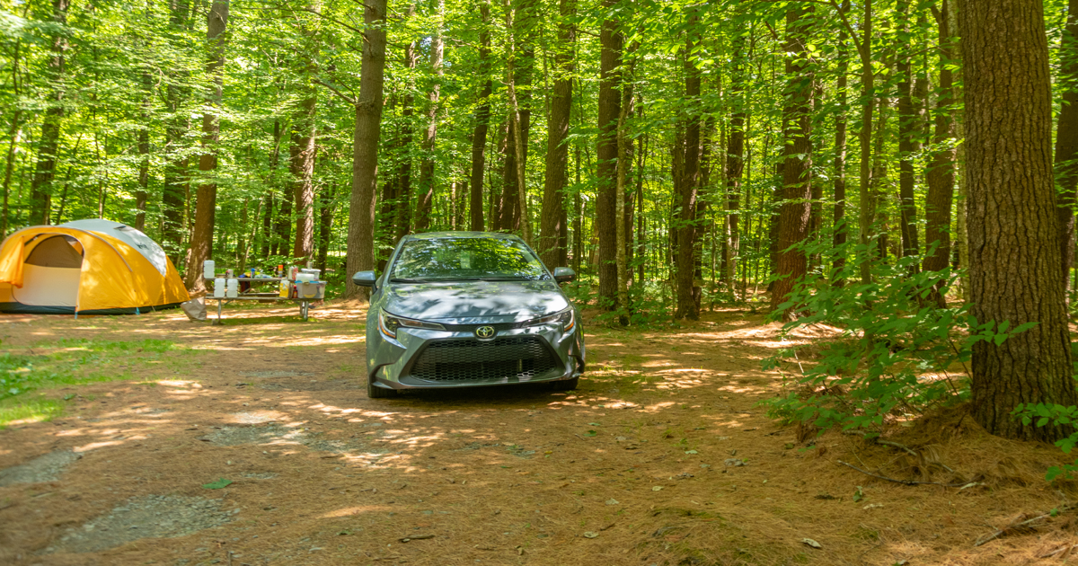 Bowman Lake State Park Campsite Photos - Choose Site