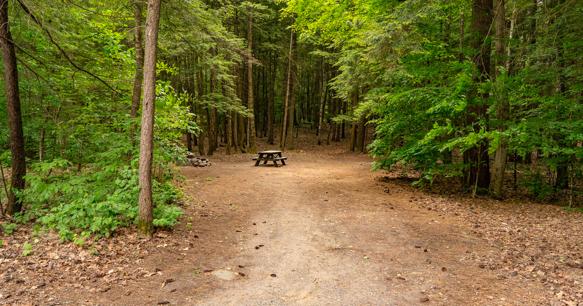 Lake Luzerne Campsite Photos at Jay Hunter blog